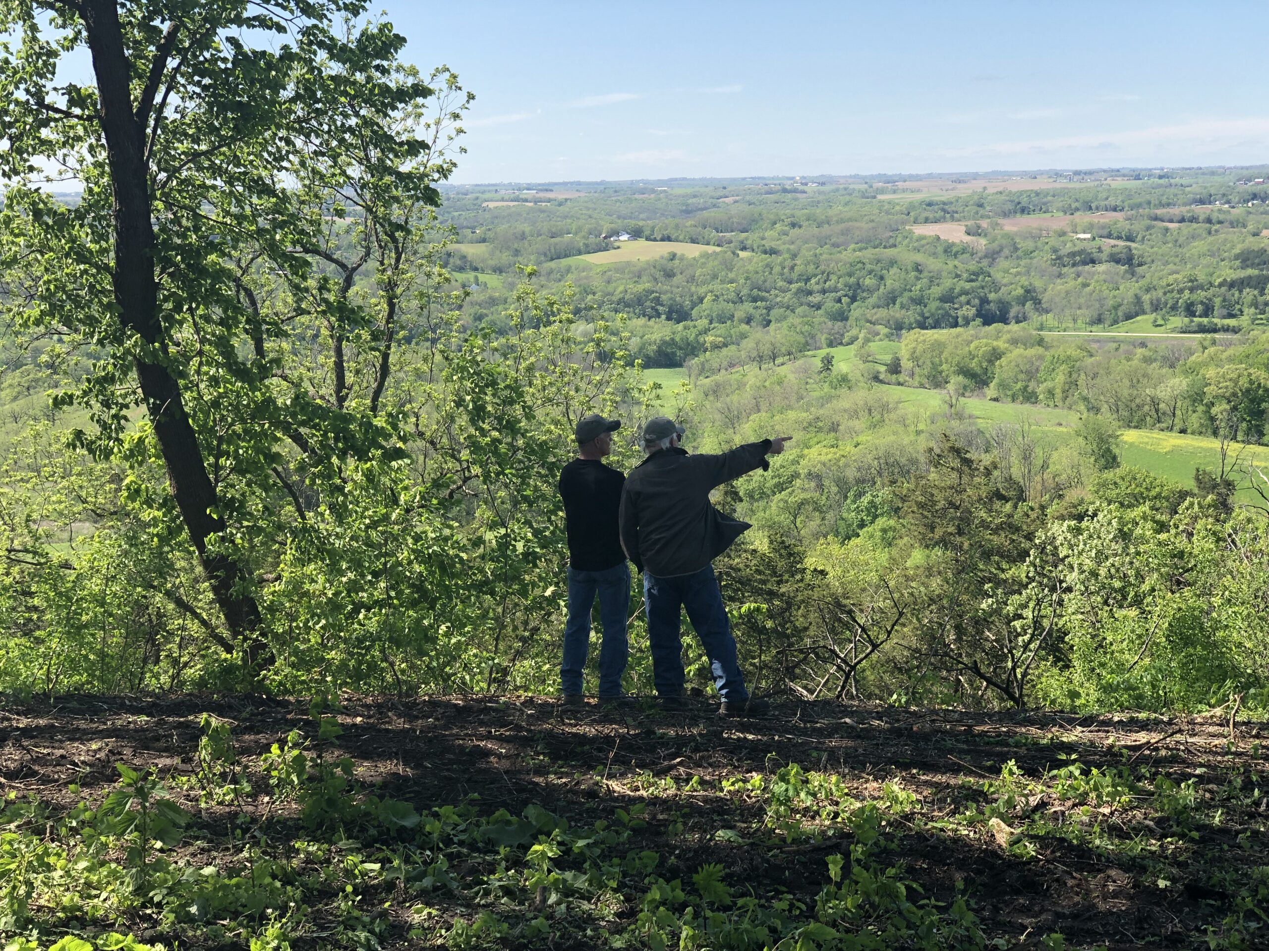 Horseshoe Mound Preserve - Jo Daviess Conservation Foundation
