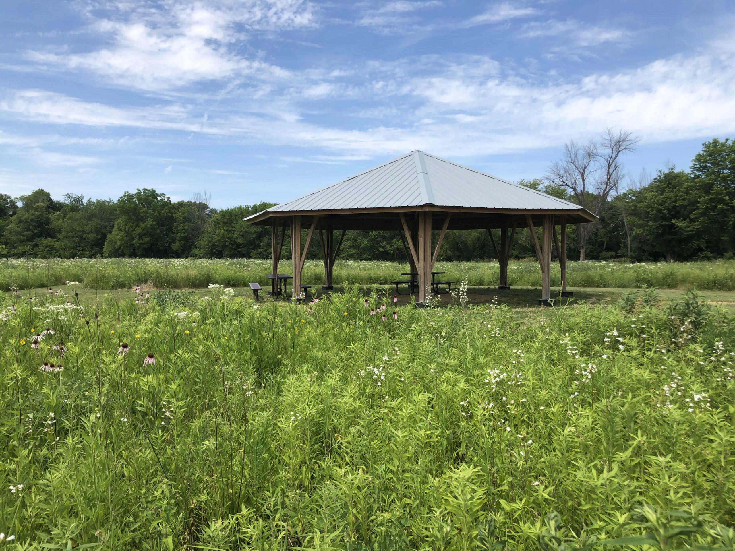 Wapello Land & Water Reserve - Jo Daviess Conservation Foundation